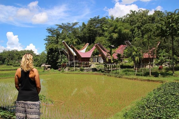 3 jours au Pays Toraja dans le Sud de la Sulawesi - Planete3w