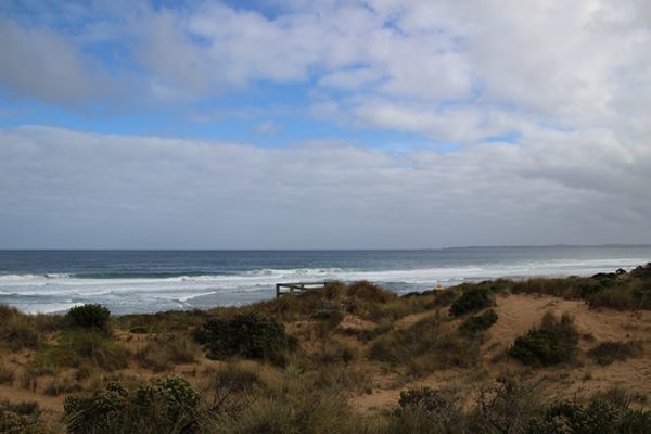 1 journée sur Phillip Island, l'île aux pingouins - Planete3w