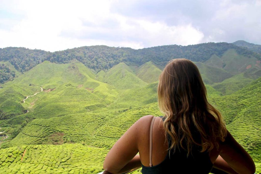 1 journée dans les Cameron Highlands : plantations de thé et montagnes ...
