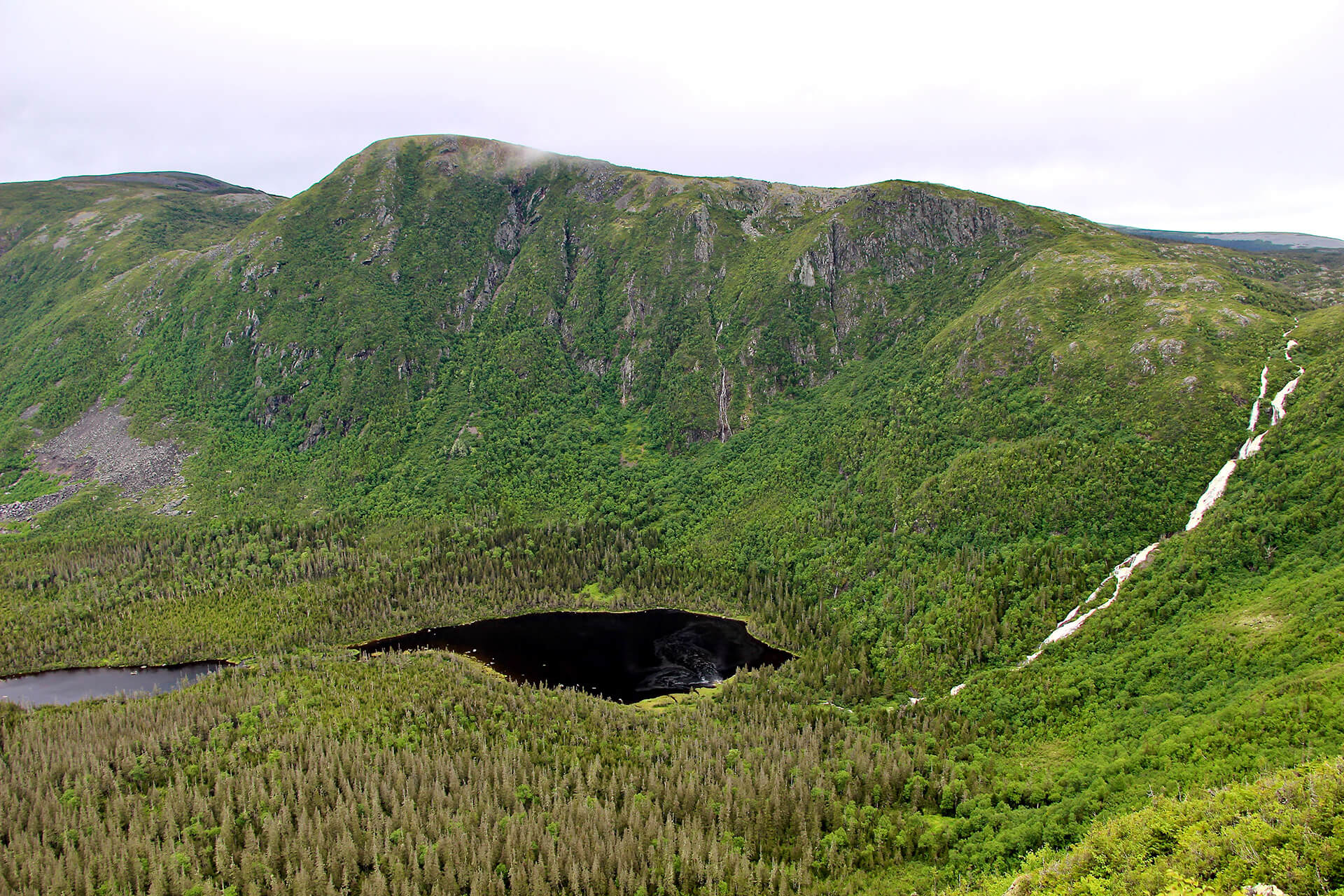 À la découverte du Parc de la Gaspésie - Planete3w