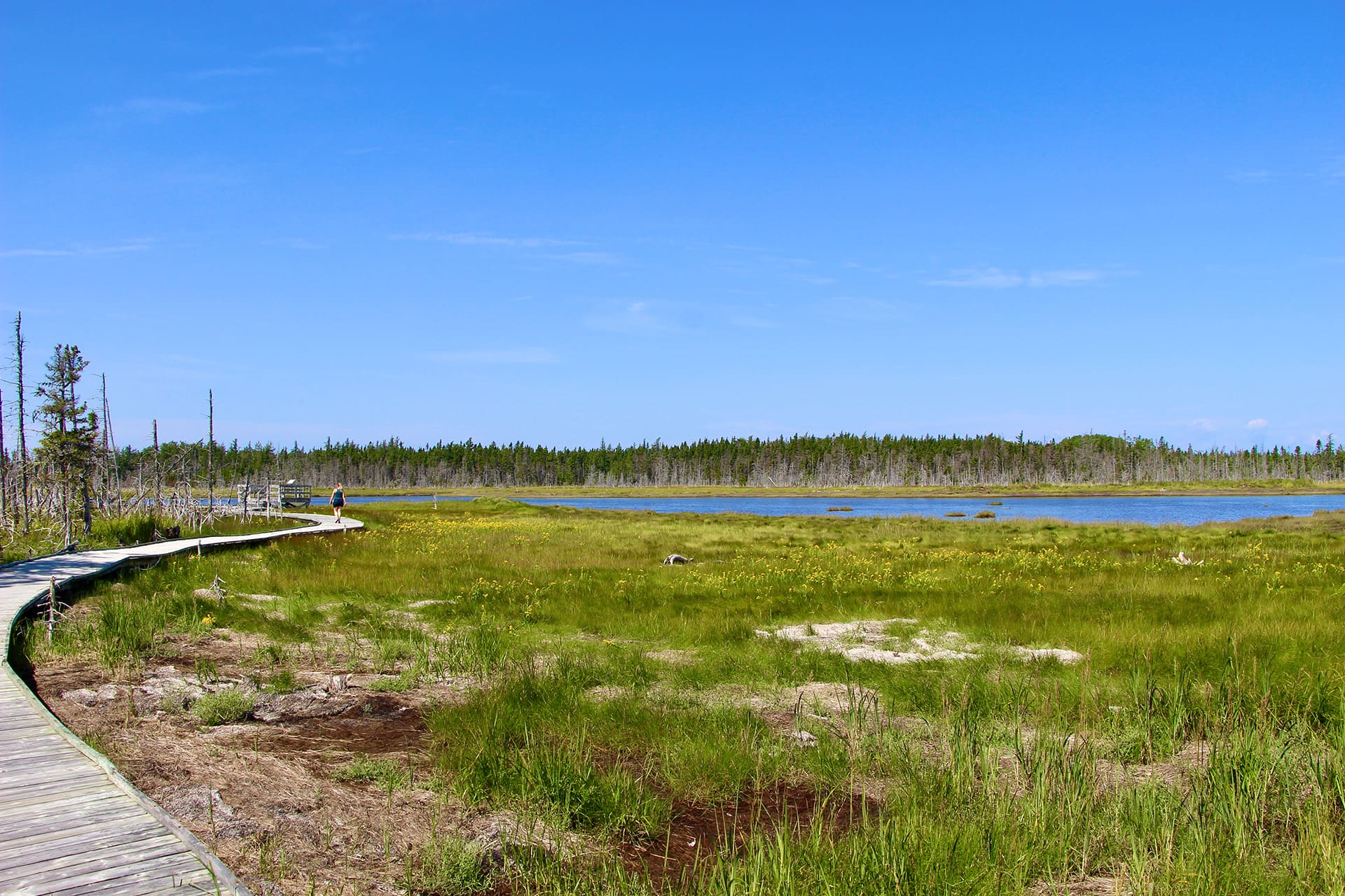 Une journée sur les îles Lamèque et Miscou au Nouveau Brunswick