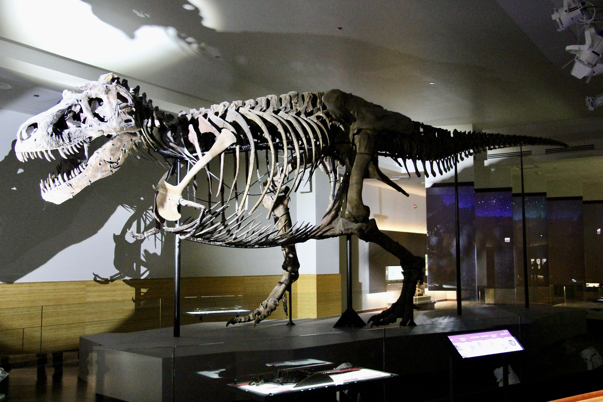 Visiter Chicago en 4 jours : notre carnet de voyage - Planete3w