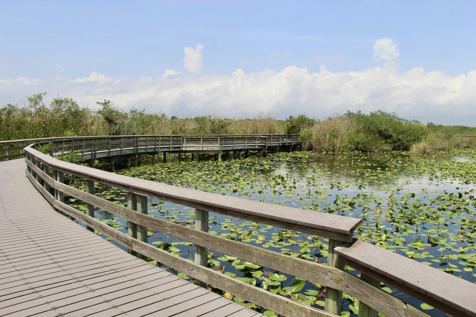 Que voir et que faire dans les Everglades ? - Planete3w